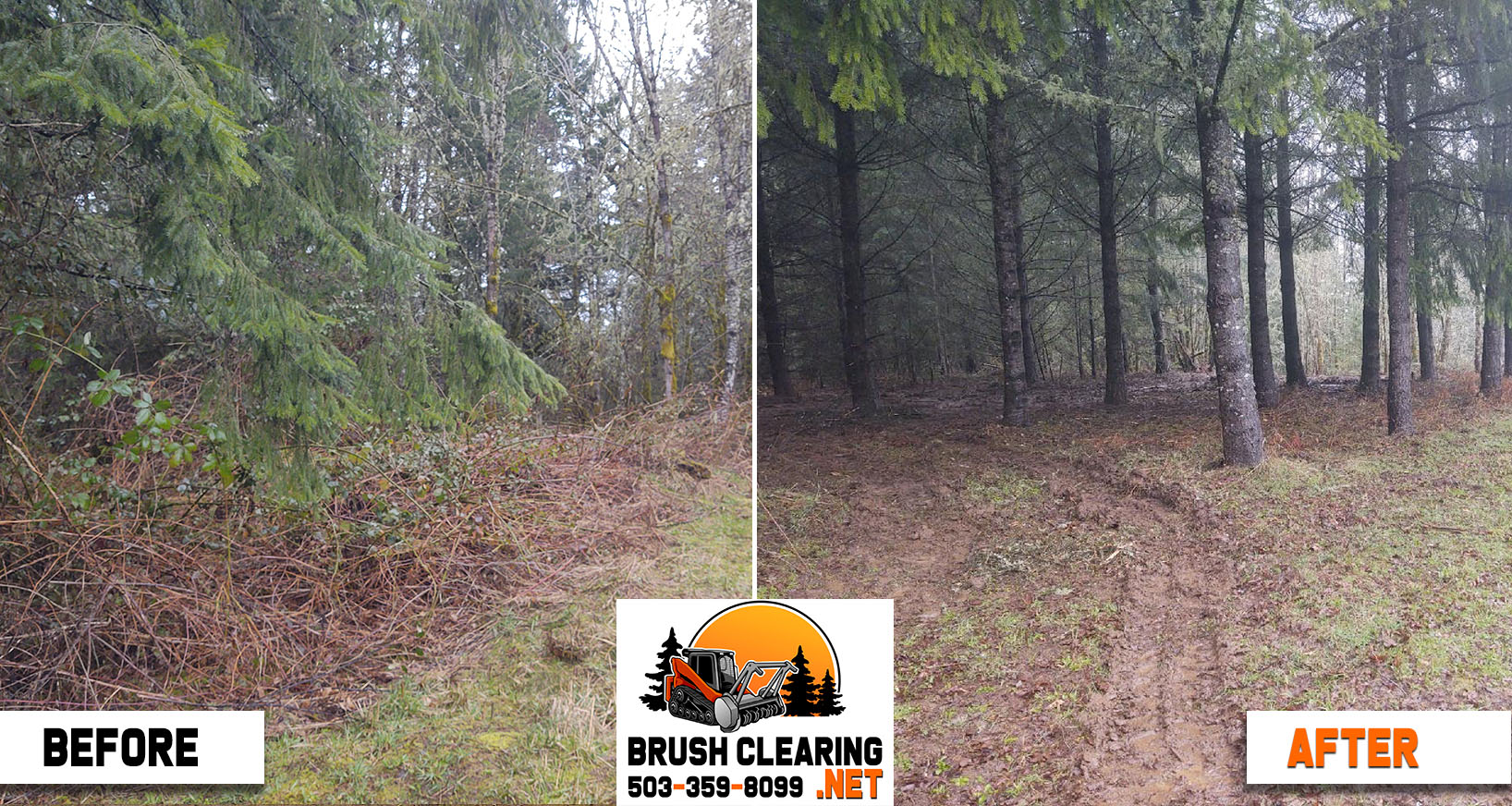 Projects - Brush Clearing of Oregon