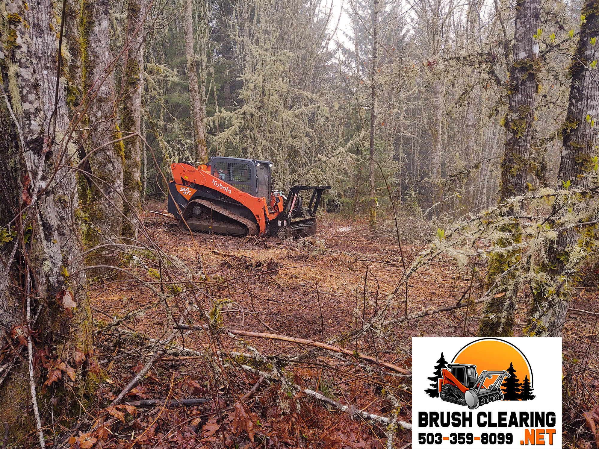 Brush Clearing - Affordable Excavation Services