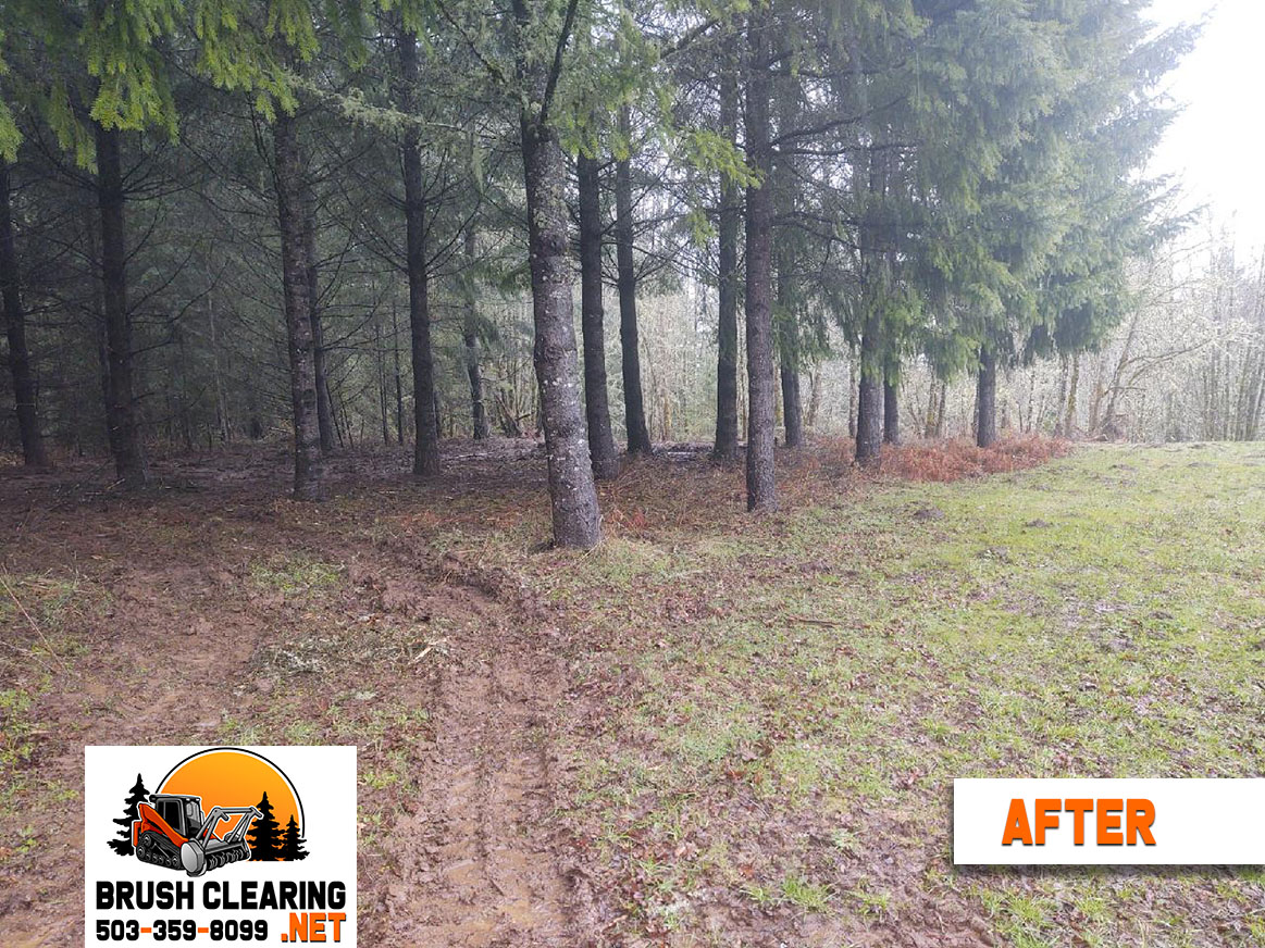 Projects - Brush Clearing of Oregon