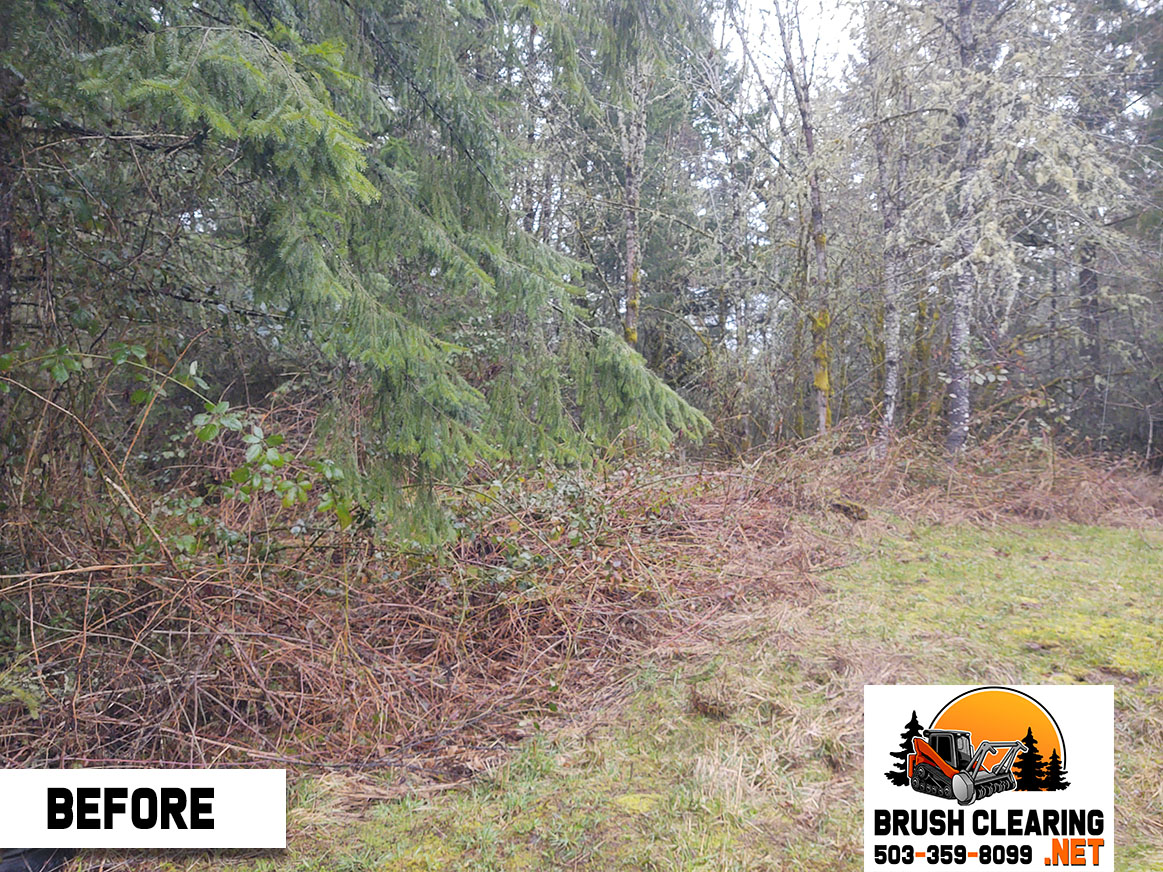 Projects - Brush Clearing of Oregon