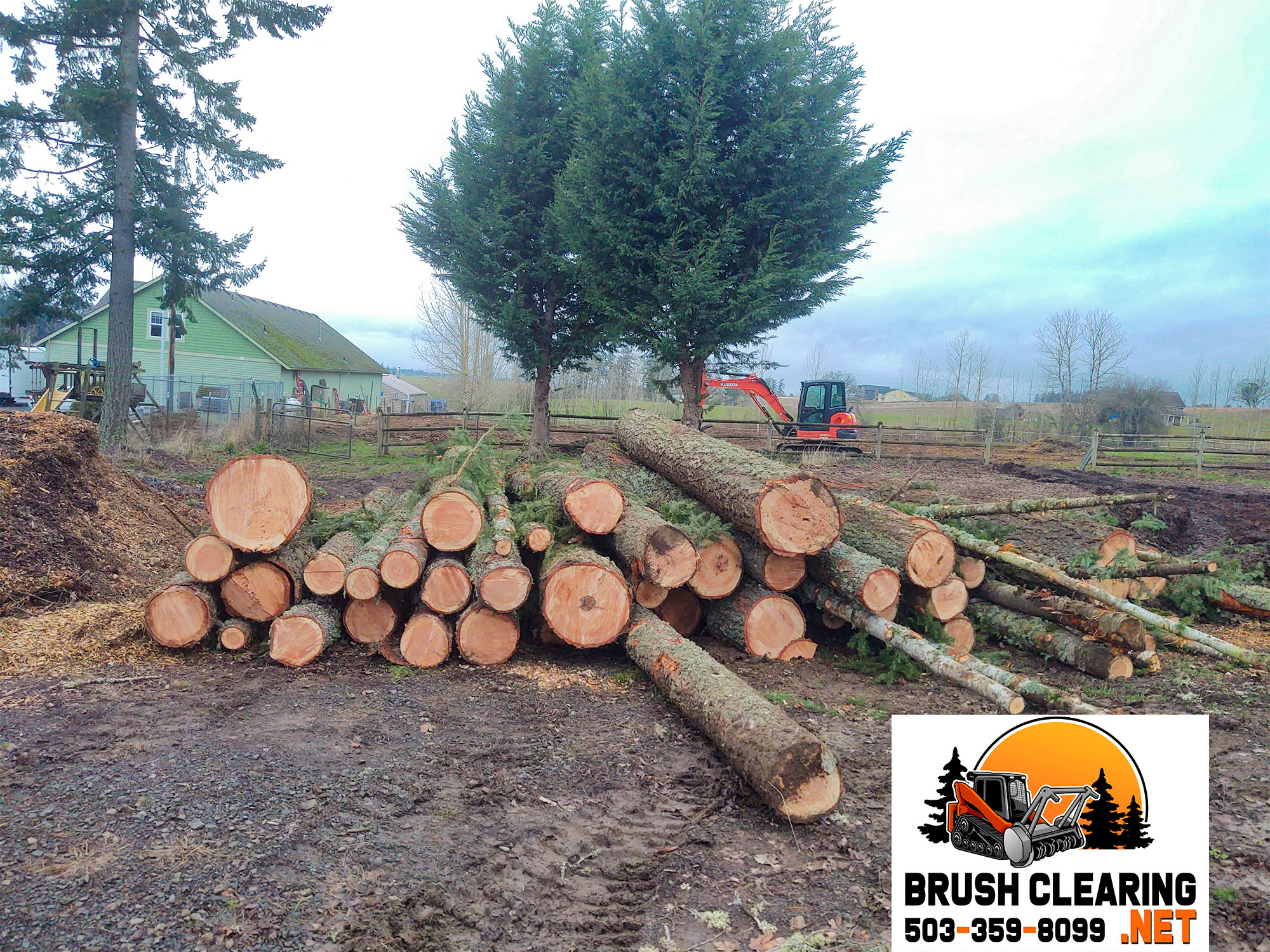 Projects - Brush Clearing of Oregon